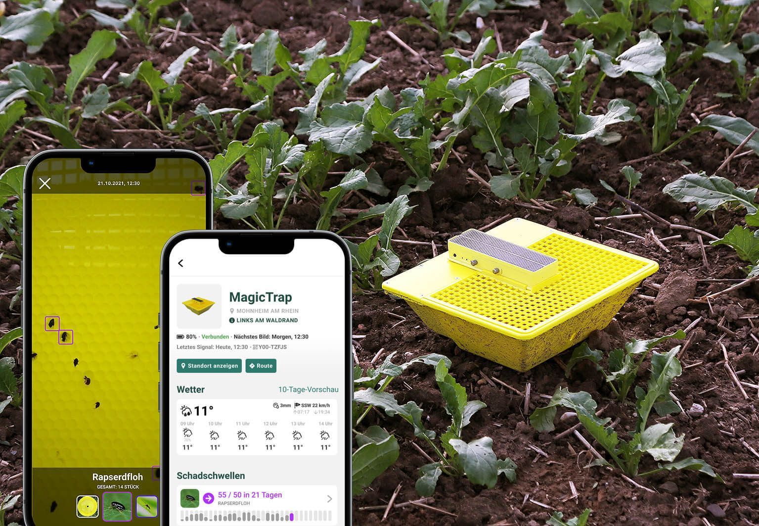 Crop Protection: Efficient Pest Monitoring With Mobile IoT Technologies